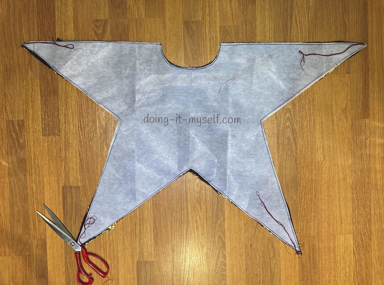 Star Costume – Palettes of Life